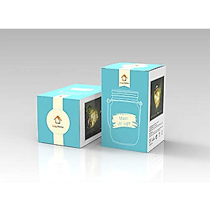 4Pack Solar Mason Jar Lights, Solar Lantern 30Leds Outdoor Glass Hanging String Lamp, Fairy Decoration for Garden Patio Yard Home