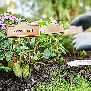 Metal Plant Labels Weatherproof 25 Pack, Outdoor Stainless Steel SS304 Garden Label Markers for Plants Vegetables Herb Seedlings Flowers with a Pen, Height 10.75 Inch, Label Area 3.74'' x 1.39''