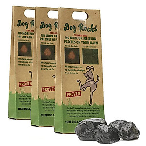 Dog Rocks - Prevent Grass Burn Spots by Pet Urine, Save Your Lawn from Yellow Marks, 3 Bags of 200g Each (6 Month Supply Total)