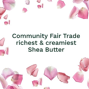 The Body Shop British Rose Body Butter – Nourishing & Moisturizing Skincare for Normal Skin – Vegan – 6.75 oz