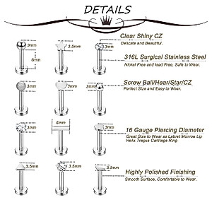 Masedy 24Pcs 16G 316L Stainless Steel Labret Monroe Lip Ring Studs CZ Cartilage Helix Tragus Piercing Studs 6MM