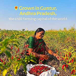 Diaspora Co. Guntur Sannam Chillies | Single-Origin Chili Powder | Medium Heat | All-purpose | 57g Everyday Tin