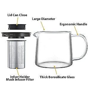 COPOTEA Glass Teapot with Removable Infuser, Tea Pot 1000ml/33OZ Stovetop Safe Tea Kettle for Blooming Tea & Loose Leaf Tea, Premium Tea Maker with Gift Box