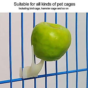 Bird Fruit Fork, 50PCS Plastic Birdcage Fruit Holder Parrot Feeding Fork Birds Food Feeder Tool Accessory for Parrots Hamster(Bird Fruit Fork)