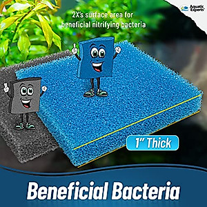 Aquatic Experts Aquarium Filter Sponge - SpongeFirst - Biological and Mechanical Aquarium Sponge Filter Pad for Clear Water (12" x 36" 40ppi)