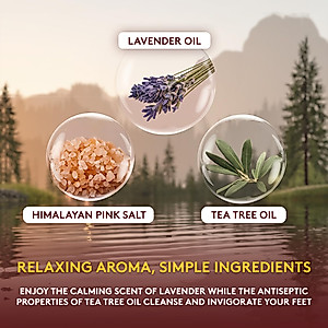 Okay Himalayan Pink Salt Detoxifying Foot Soak With & Tea Tree Oil, lavender, 20 Ounce