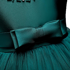 COMISARA Toddler Baby Flower Girl Dress Little Kids Birthday Prom Pageant Wedding Bridesmaid Party Performance Fancy Formal Princess Ball Gown Dresses Size 12M 18M (Green 80)