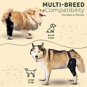 LA KALBA Dog Knee Brace for Torn Acl Hind Leg - Neoprene Dog Leg Braces for Back Leg with Aluminium Splints, ACL Knee Brace for Dogs with Reflective Trims (Left Leg - Small)