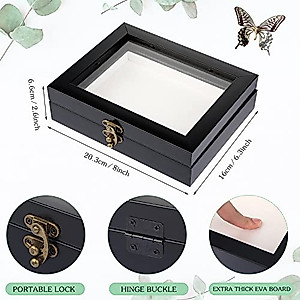 2 Pcs Insect Display Case Collection Shadow Boxes Butterfly Box with Clear Top EVA Foam Pinning Board and 300 Pcs 3 Sizes Insect Pins Insect Pinning Kit for Specimen, 7.87 x 6.3 x 2.05 Inch (Black)