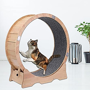 Cat Wheel, Cat Treadmill, Exercise Wheel, Cute Cat Furniture, Pet Toy, Cat Toy, Cats Loss Weight Device (Large)