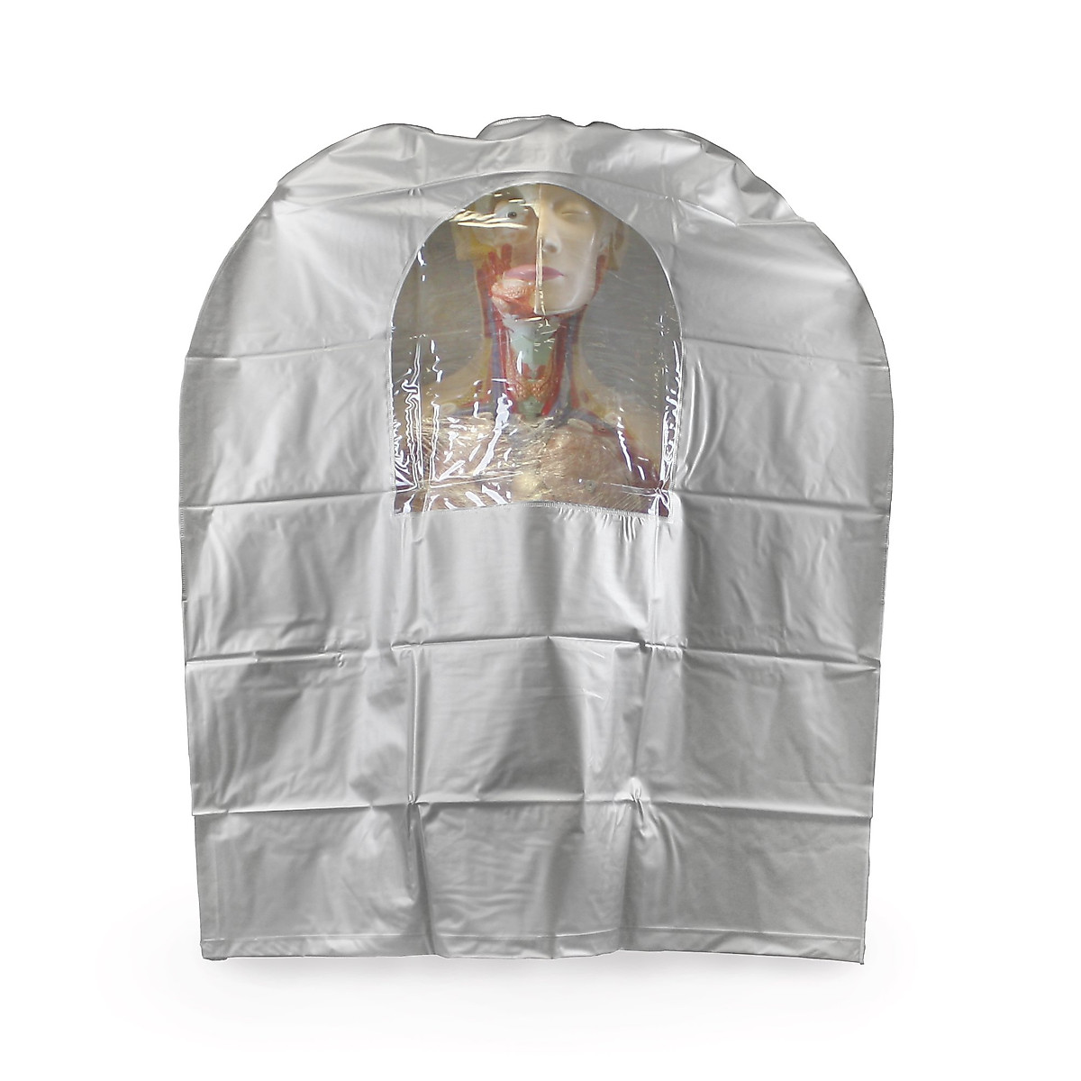 Vision Scientific VAT107-DC 17 Parts Sexless Human Torso | Open Back Exposes Muscular Layers, Vertebral Volume, Nerve Branches |Neck Dissected Shows Muscular, Neural, Vascular and Glandular Structure