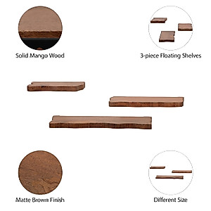 Sagebrook Home Natural Neutral Set of 3 Mange Wood Brown Floating Shelves - 18" x 6" x 1"