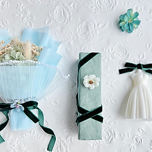 QIANF Vintage Green Velvet Ribbon, 3/8 Inch X 25Yd