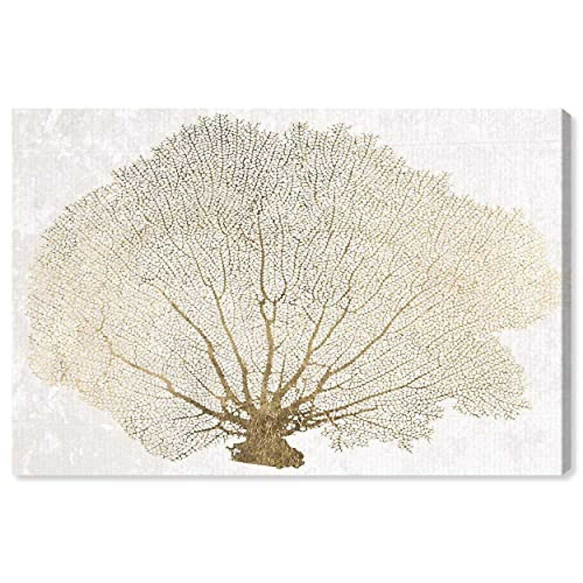 The Oliver Gal Artist Co. Nautical and Coastal Wall Art Canvas Prints Coral Fan' Home Décor, 15" x 10", Gold, White