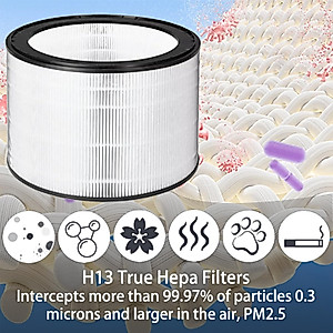 AAFTDT301 Air Filter For LG PuriCare 360 Air Purifier, AS560DWR0 & AS330DWR0, H13 True Hepa Filter with High Efficiency Activated Carbon and Pre-filter, Model Number AAFTDT301
