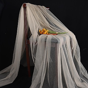 HAVII 60" x 8 Yards Champagne Glitter Tulle Fabric Rolls Sequin Sheer Fabric for Bridal Veil Wedding Arch Backdrop Decor Tutu Skirts DIY Sewing Craft