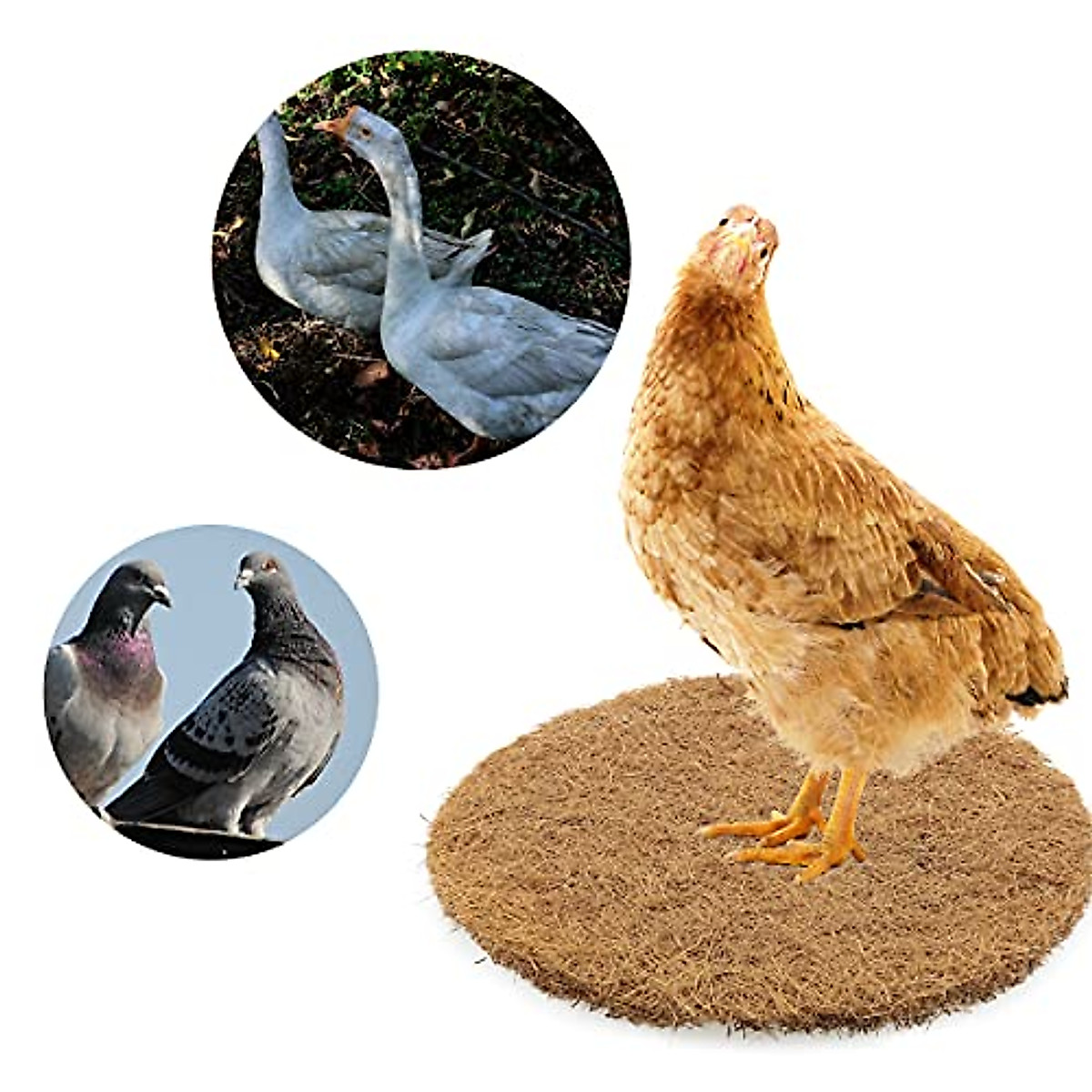 DGHAOP 4pcs Breathable Dry Grass Mattress 215x10mm Bird Nesting Pads Natural Fiber Parrots Breeding Nests Bird Eggs Mat for Birds