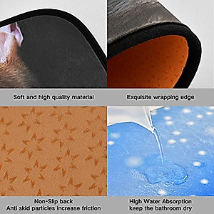 Bengal Cat Kitchen Rugs and Mat 2 Pieces Set Cushioned Anti Fatigue Kitchen Mat Non Slip Doormat Runner Carpet Washable Farmhouse Decor for Home Kitchen Hallway Bedroom