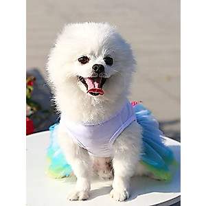 QWINEE Heart Pattern Dog Dress Sleeveless Cat Puppy Princess Dresses with Polka Dot Bow Skirts for Small and Medium Dogs Cats Kitten Multicolor S