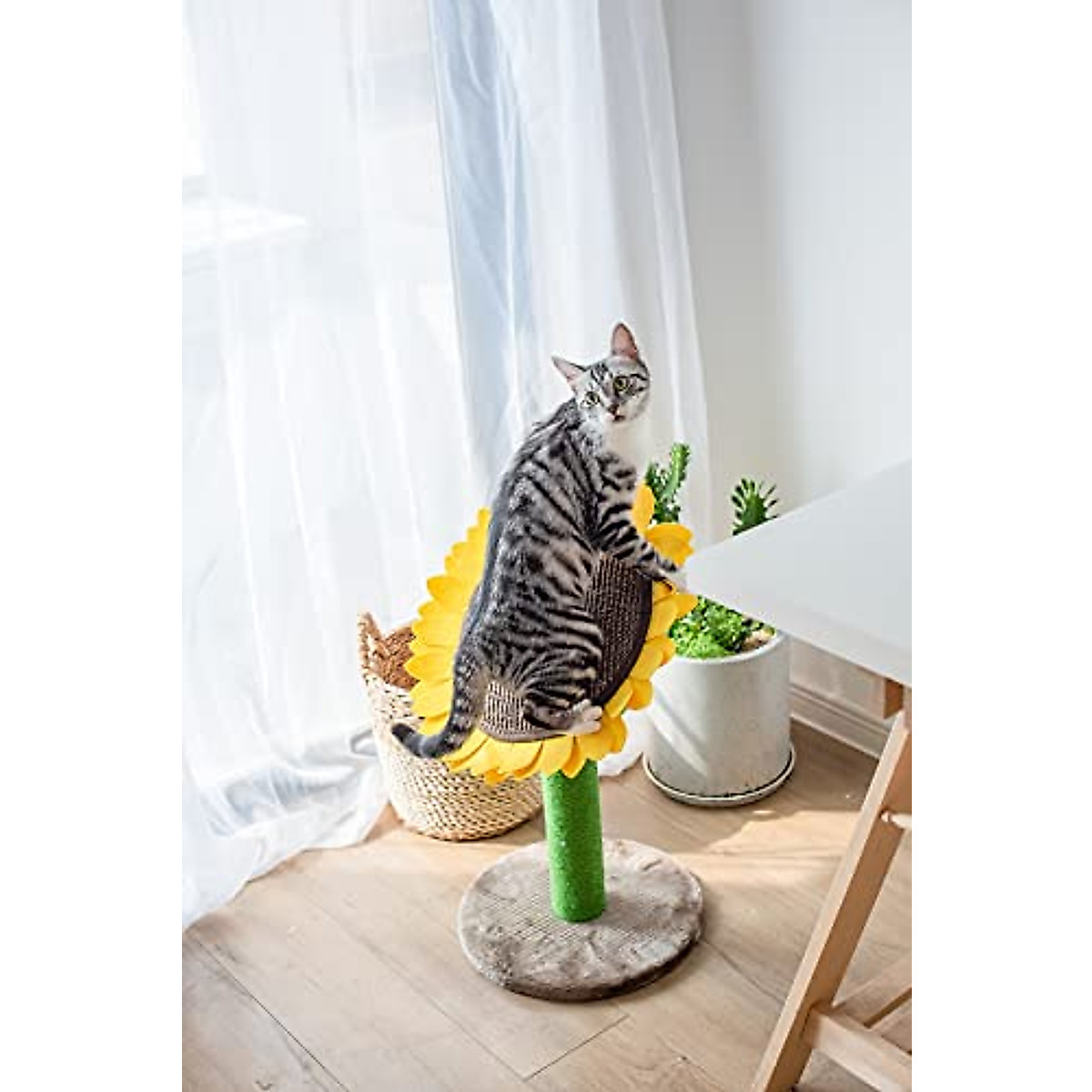 Catry Cat Tree – Nature Looking of Cat beds and Furniture All-in-1, Allure Cats Love to Lounge in and Lazily Recline While Playing with Cute Bees Toys and Scratching Post, Adjustable Sunflower