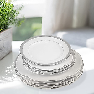 Felt Plate Storage Dividers, 36 Pack Premium Felt Round China Dish Separators Pads Plate Dividers with 3 Sizes, Dish Storage Protectors Pads for Packing Stacking Cookware (White)