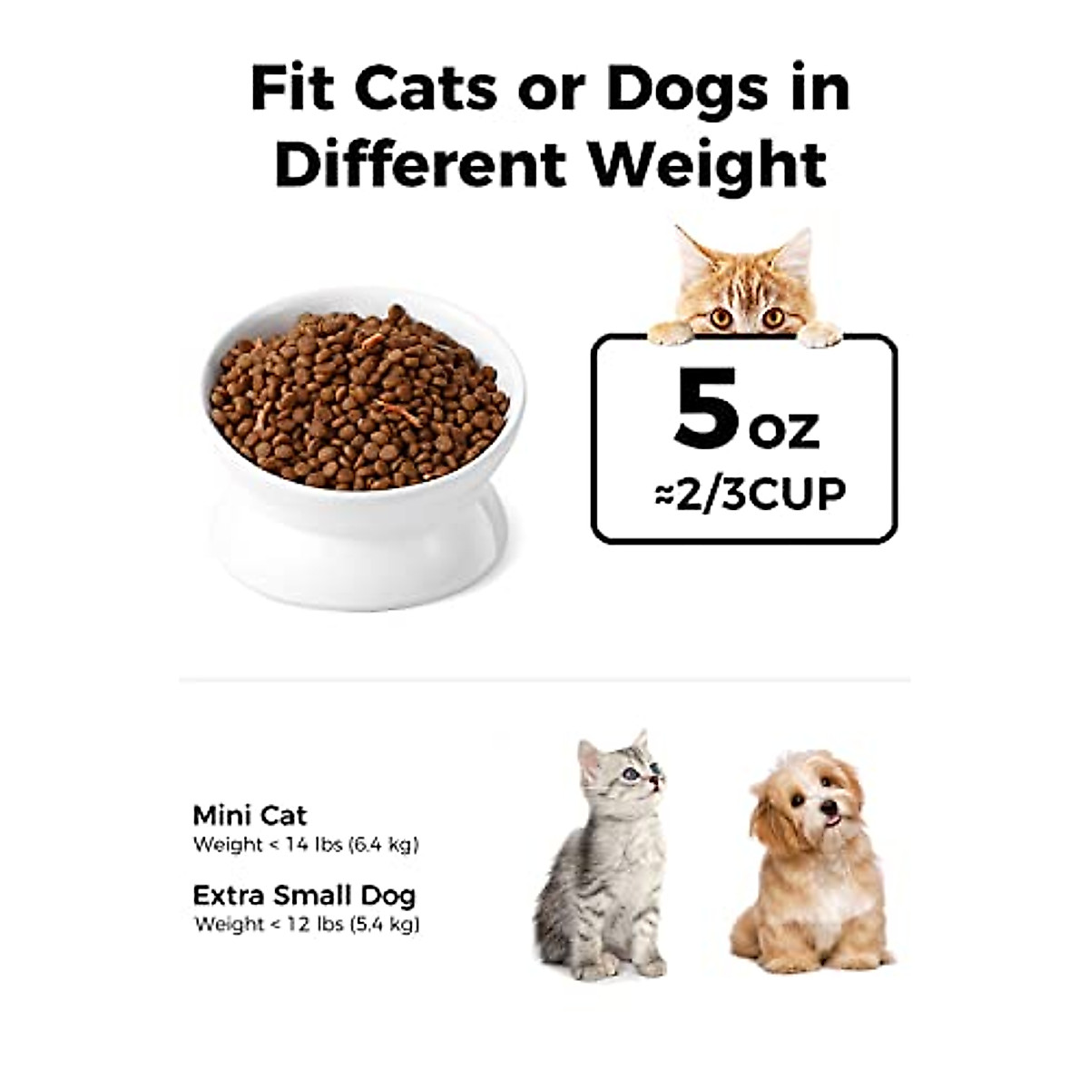 LoeJan Elevated Cat Food Bowl, 5 Oz Ceramic Raised and Tilted Water Bowl, Anti Vomiting and Protect Pets' Spines Dishes for Small Dog, Fat Faced Cat, Kitten (White, 1 Pack)