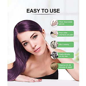 Combo Pack - Herbishh Purple Dye Shampoo for Gray Hair + Argan Intense Hair Mask - Long-lasting Color - Stimulates Dry, Frizzy Hair - 500 Ml