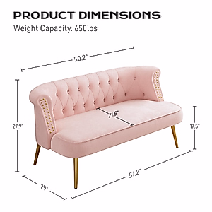 DAMAIFROM Velvet Loveseat Sofa, Modern 2 Seater Sofa with Gold Legs, 51" W Upholstered Tufted Couch for Living Room, Comfy Love Seat Small Furniture for Apartment, Small Spaces, Pink