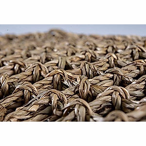 PENN-PLAX Reptology Lizard Lounger – 100% Natural Seagrass Fiber – Great for Bearded Dragons, Anoles, Geckos, and Other Reptiles – Extra Large