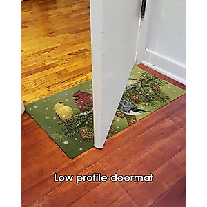 Toland Home Garden 800093 Snowy Friends Winter Door Mat 18x30 Inch Bird Outdoor Doormat for Entryway Indoor Entrance