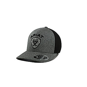 ARIAT Men's Flexfit 110 Aztec Logo Snapback, Grey