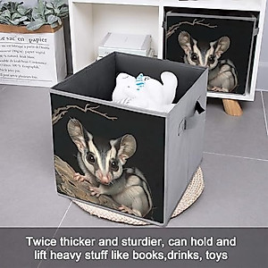 Australian Sugar Glider Foldable Storage Bins with Handles Storage Cubes Closet Organizer for Living Room Bedroom 6PCS