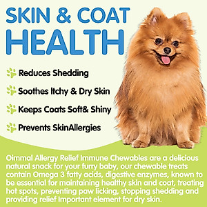 Allergy Relief Dog Chews - Allergy Relief Dog Treats w/Omega 3 + Pumpkin + Enzymes - Itchy Skin Relief for Dogs - Anti Itch Support & Hot Spots - Skin & Coat Health for Dogs