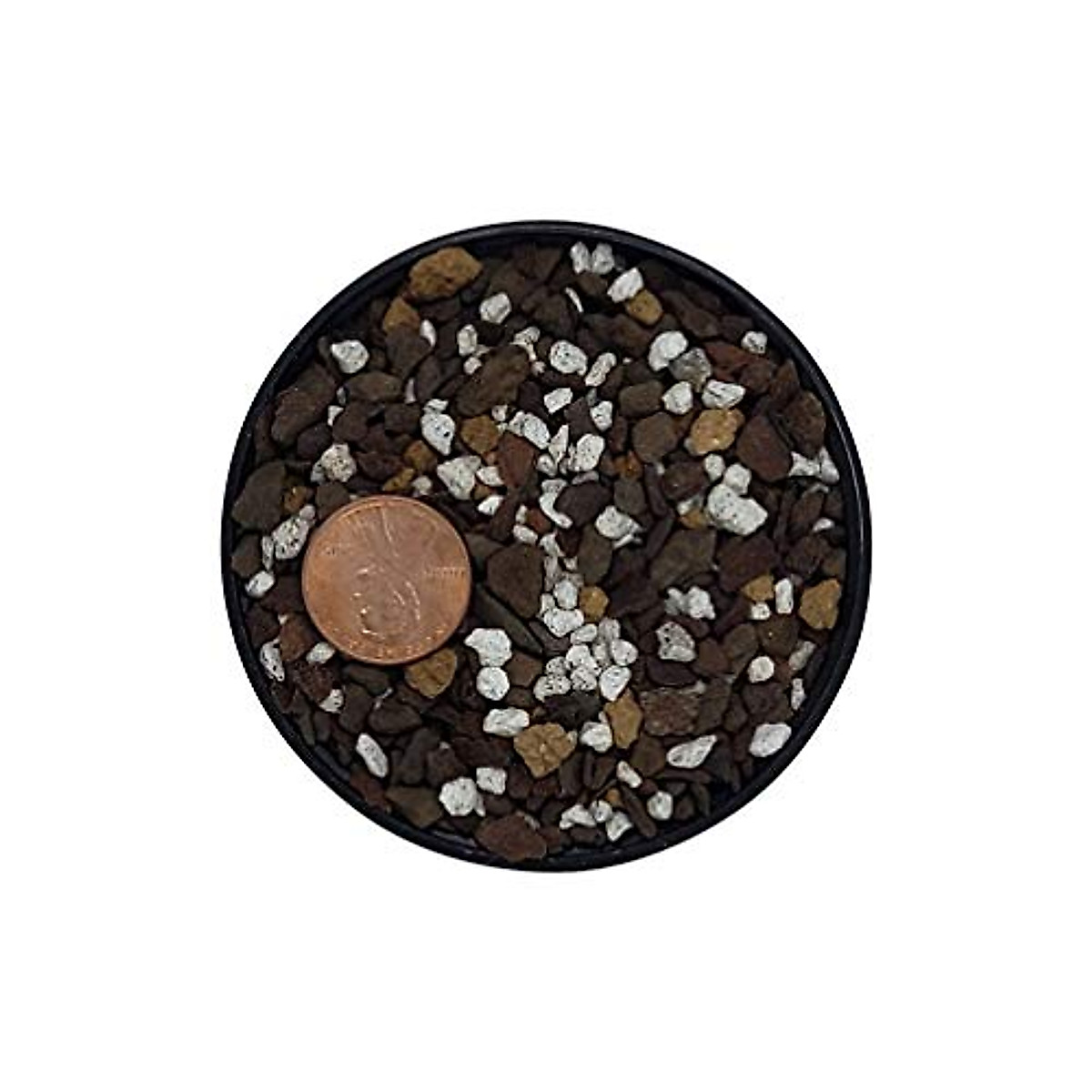 Succulent & Cactus Soil Mix - Premium Pre-Mixed Fast Draining Blend (1.25 Dry Quarts)