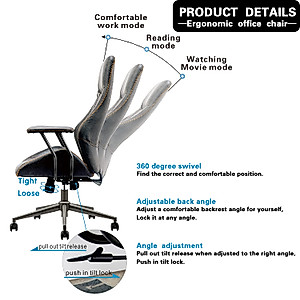 XIZZI Ergonomic Chair Office Computer Chair Executive High Back Home Office Desk Chairs with Armrest Lumbar Support (Dark Grey)