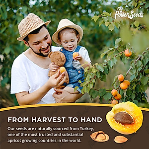My Power Seeds Organic Raw Bitter Apricot Seeds I Non-GMO, Vegan, Gluten Free, Raw, and Source of Vitamins & Minerals I Rich in Vitamin E, Omega 3, and More! I (Apricot Seeds, 1LB Bag)