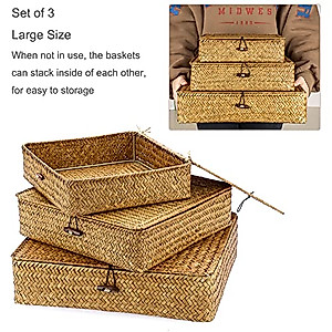 Hipiwe Flat Seagrass Storage Basket Bins with Lid - Set of 3 Wicker Baskets Bins Rectangular Woven Baskets Box Home Organizer Bins for Shelf Organizing, Large Size 14.8"x13"
