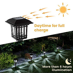 GIGALUMI Solar Path Lights 8 Pack, Solar Powered Garden Lights Outdoor, Bright Solar Yard Lights Waterproof for Landscape, Lawn, Pathway, Walkway and Driveway (Cold White)