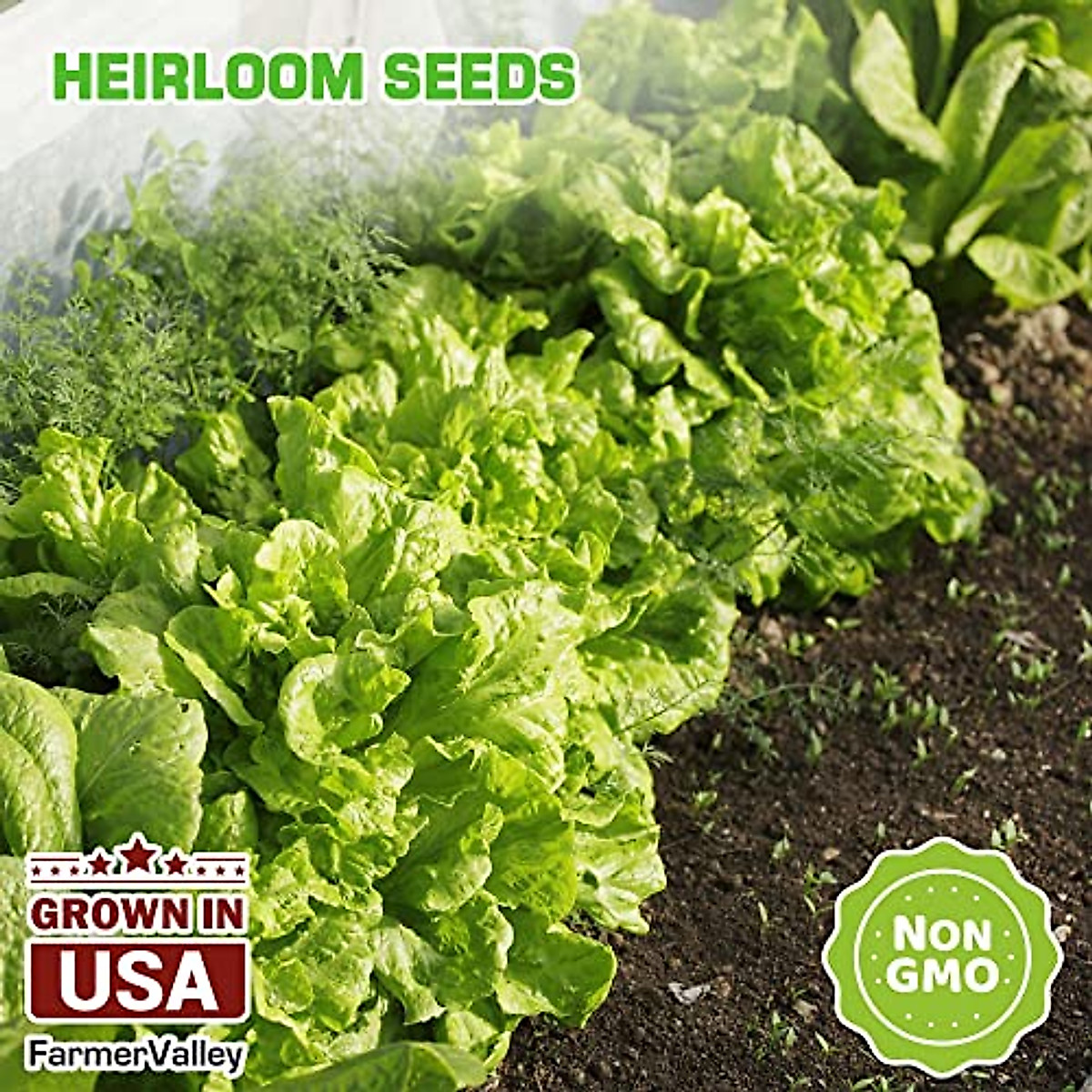 Lettuce & Salad Garden Seeds for Planting - 6400+ Non GMO USA Grown Vegetable Seeds for Home Growing - Heirloom Greens Seeds Good for Hydroponic, Indoor and Outdoor