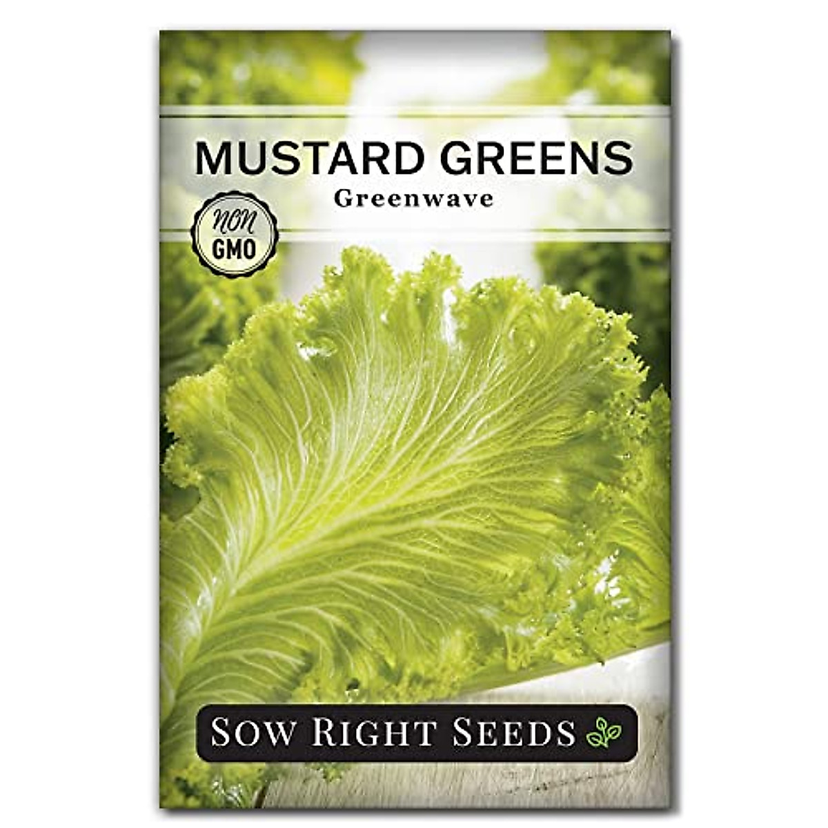 Sow Right Seeds - Large Greens Seed Collection for Planting - Spinach, Arugula, Kale, Lettuce, Tat SOI, Pak Choi, Mustard Greens and Swiss Chard - Non-GMO Heirloom Seeds to Plant & Grow a Home Garden