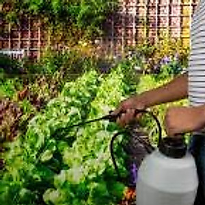 MALATHION SPRY CONC 32OZ