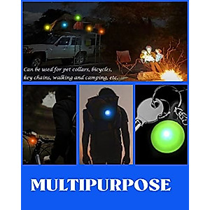 JayJos clip-on pet safety light, LED glow in the dark lights for your pet, weather resistant safety flashing lights for dogs, cats ,night walking, campers and bicycling Gifts For Pets, Keychain Light Blue