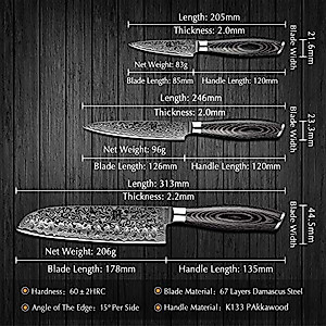 XINZUO 5PC Kitchen Knife Set Damascus Steel High Carbon Steel Chef Knife Slicing Knife Santoku Knife Utility Knife Paring Knife Sets with Pakkawood - Ya Series