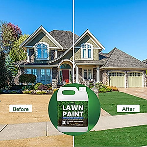 PetraTools Lawn Paint, Green Grass Lawn Spray Grass Paint For Lawn, Green Lawn Spray, Green Grass Spray For Lawn & To Grass Spray Paint Grass Green, Green Dye for Lawn Spray on Grass (1 Gal)