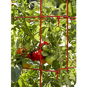 Gardeners Supply Company Lifetime Tomato Cages Plant Stand | Heavy Gauge Sturdy Garden Plants Support for Tomatoes and Other Climbing Plants | No Assembly Needed - Red (Set of 4)