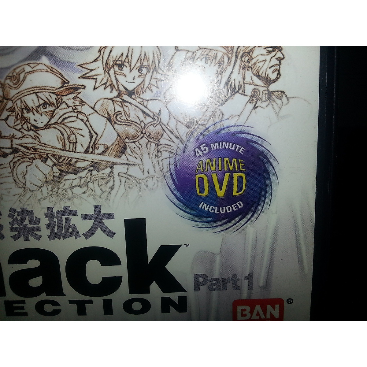 .hack, Part 1: Infection