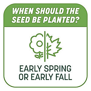 Pennington Smart Patch Tall Fescue Mix 10 lb