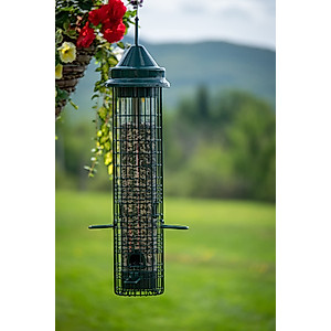 Squirrel Buster Classic Squirrel-proof Bird Feeder w/4 Feeding Ports, 2.4-pound Seed Capacity