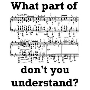 CafePress The Musician Mug Ceramic Coffee Mug, Tea Cup 11 oz