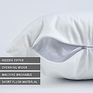 Snycler Spring Flower Pillow Covers 12x20 Set of 2 Rustic Cute Small Floral Black Cream Decorative Throw Pillows Outdoor Pillowcase Farmhouse Velvet Cushion Case Decor for Home Sofa Couch Bed